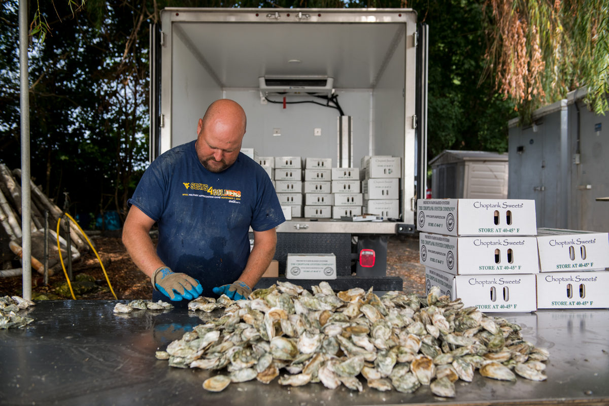 Farming the Choptank - Coastal Style Magazine
