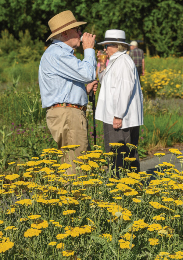 Fields of Gold - Coastal Style Magazine